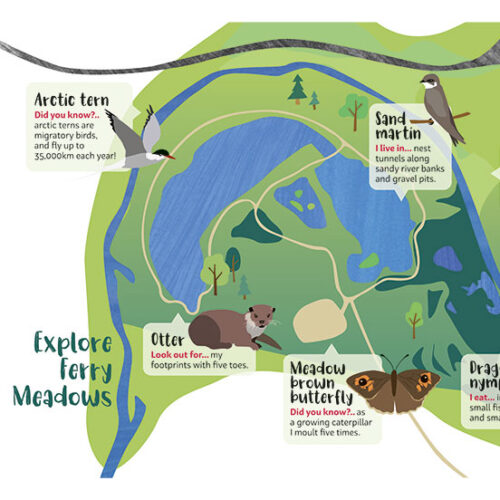 Nene-park-map-FINALV3-01_01 - Paper Rhino